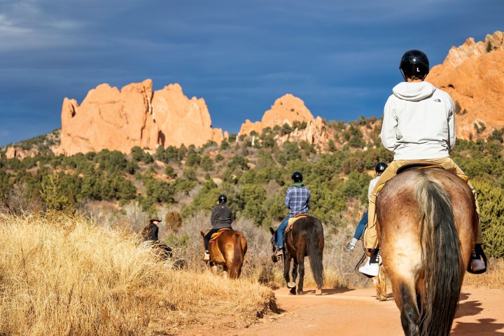 Academy riding stables store